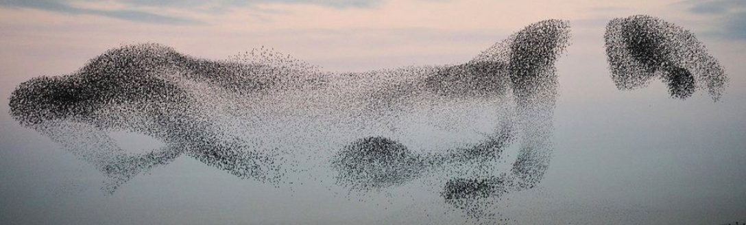 heart window – 진 Jin / Shinji Moon